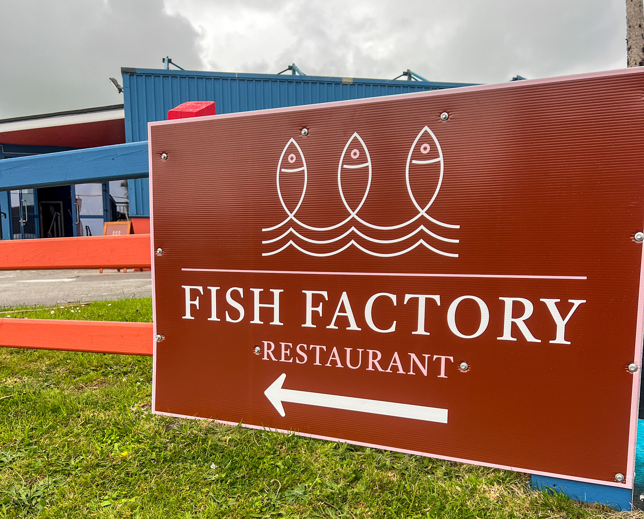 The Fish Factory Restaurant | Dingles Best Seafood